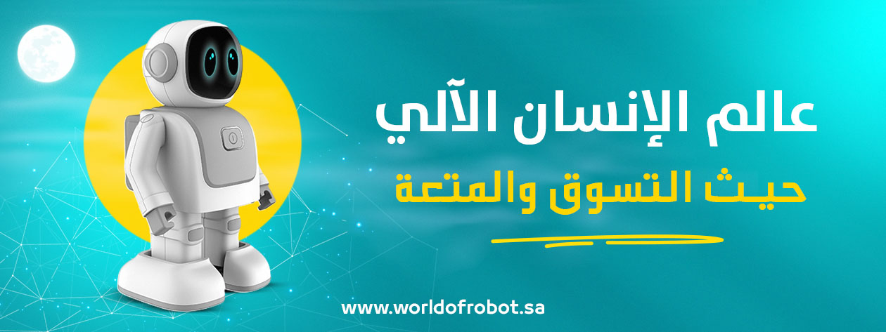 World of Robot