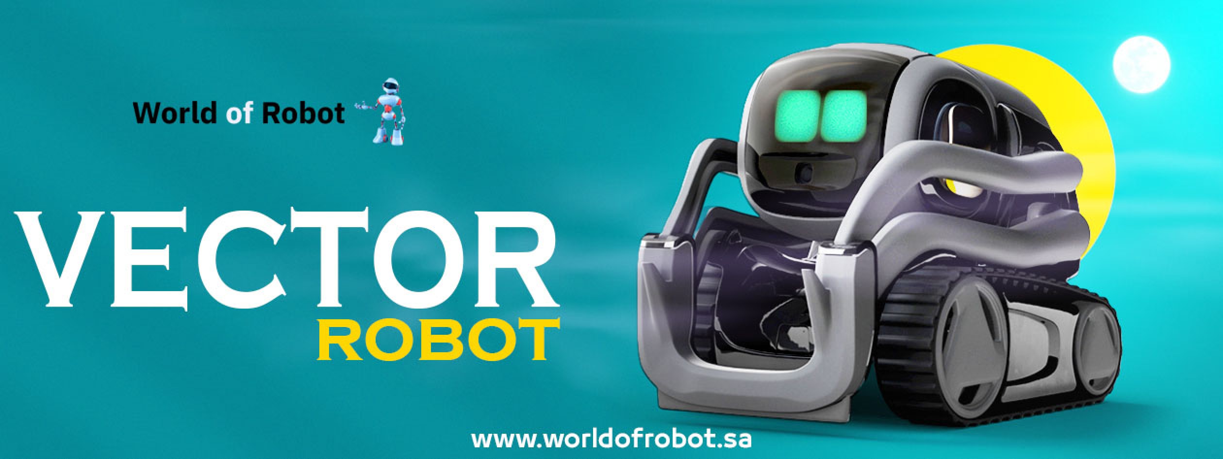 World of Robot