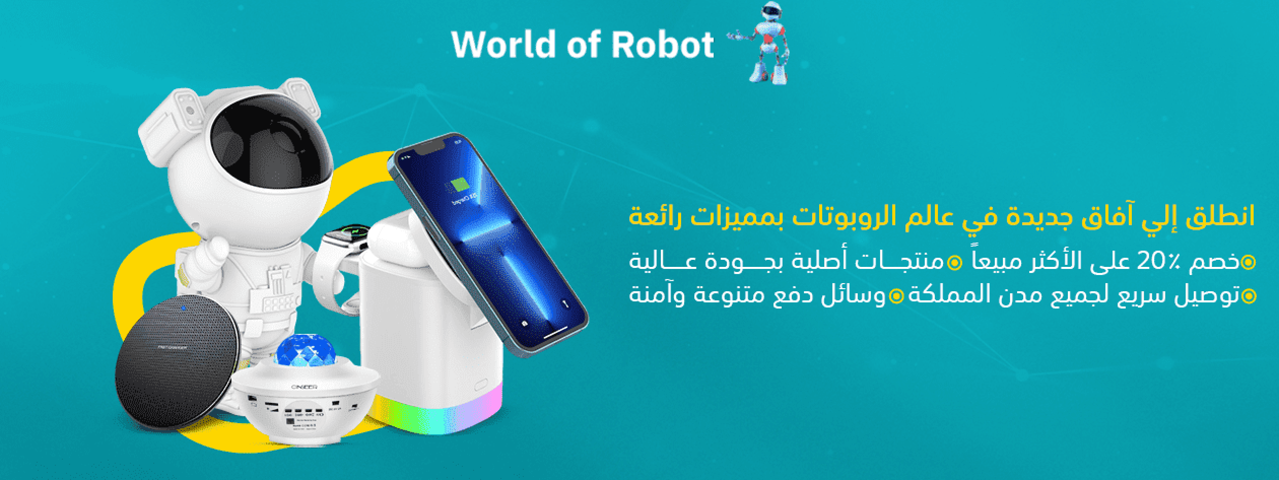World of Robot